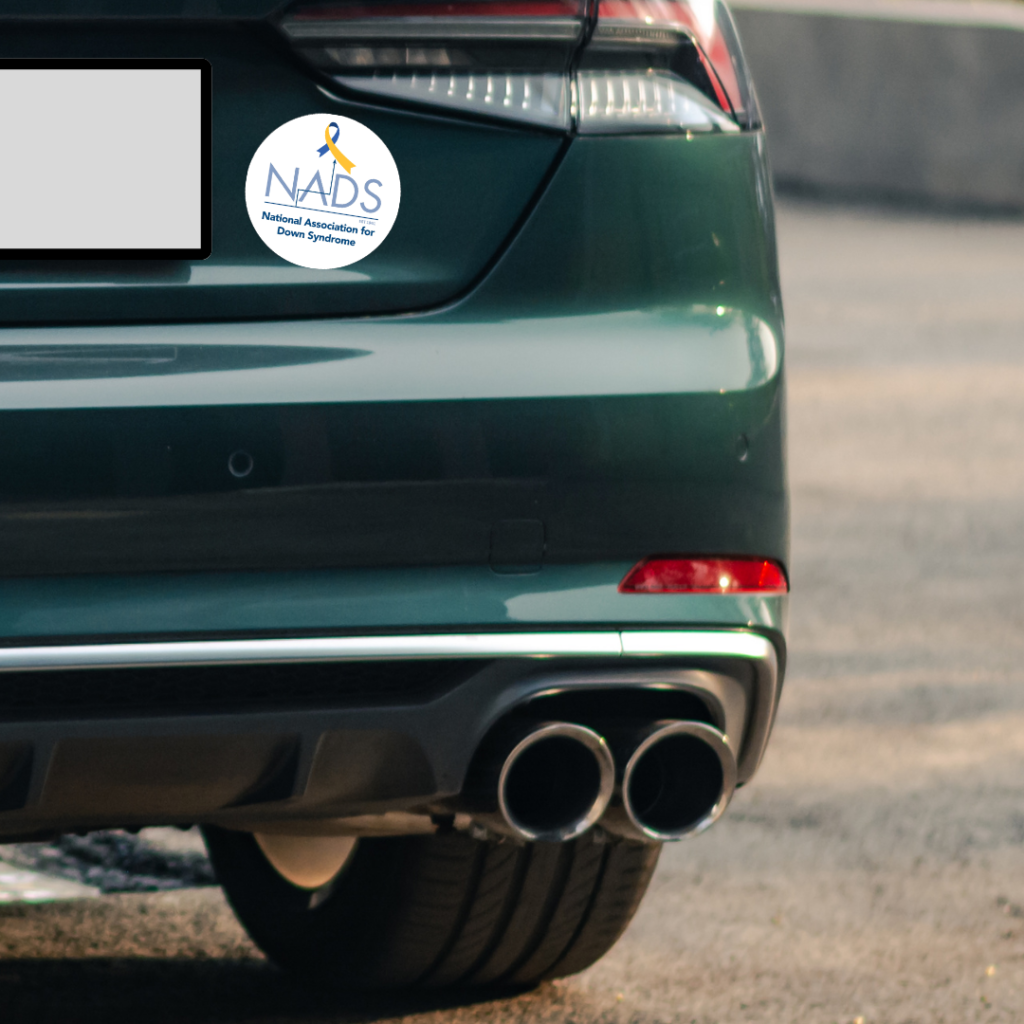 National Association for Down Syndrome | NADS Car Magnet – DS Ribbon